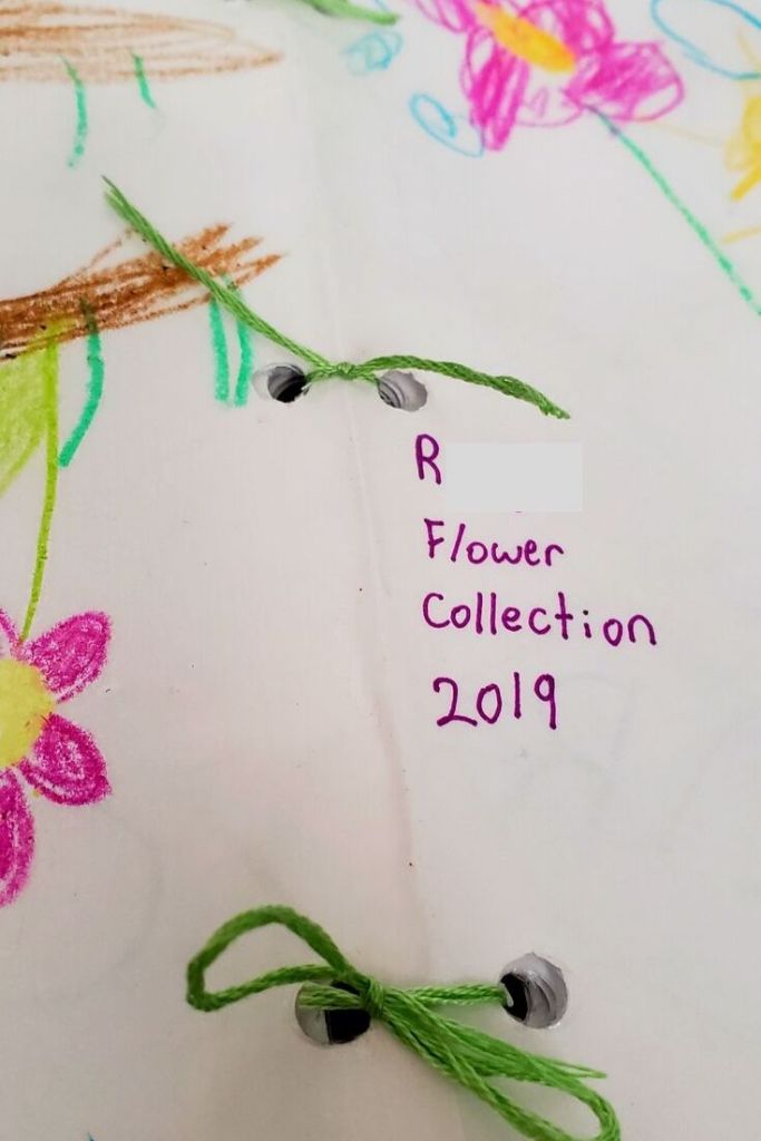 DIY Pressed Flower Journal for Kids - WhimsyRoo