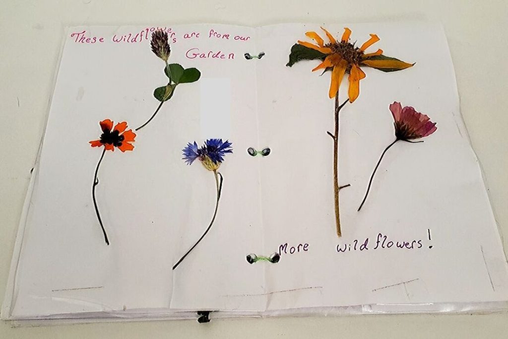 DIY Pressed Flower Journal for Kids - WhimsyRoo