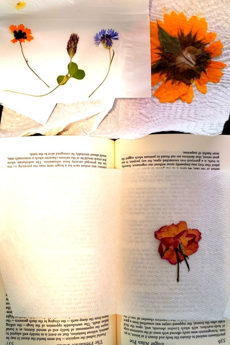 DIY Pressed Flower Journal for Kids - WhimsyRoo