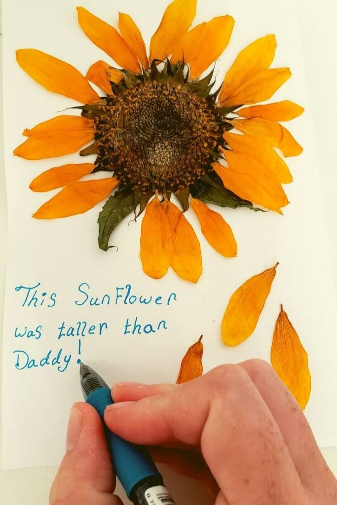 DIY Pressed Flower Journal for Kids - WhimsyRoo